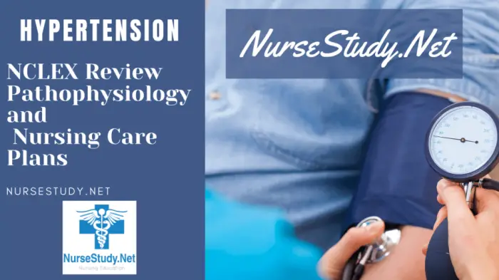 Hypertension Nursing Diagnosis & Care Plans - NurseStudy.Net