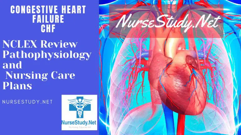 Congestive Heart Failure CHF Nursing Diagnosis Care Plan - NurseStudy.Net