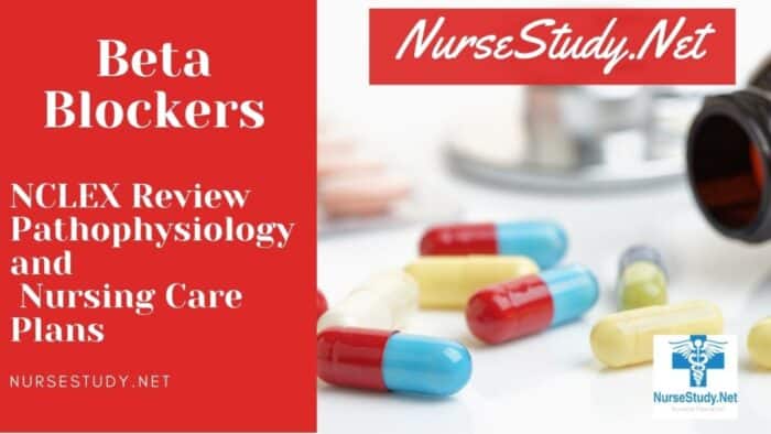 Beta Blockers Nursing Considerations - NurseStudy.Net