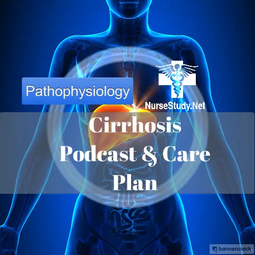 Liver Cirrhosis Nursing Care Plan Managementdocx Liver