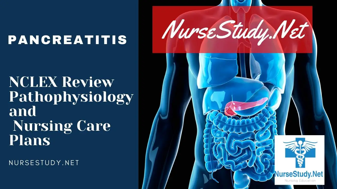 Pancreatitis Nursing Diagnosis and Care Plans for Nursing Students