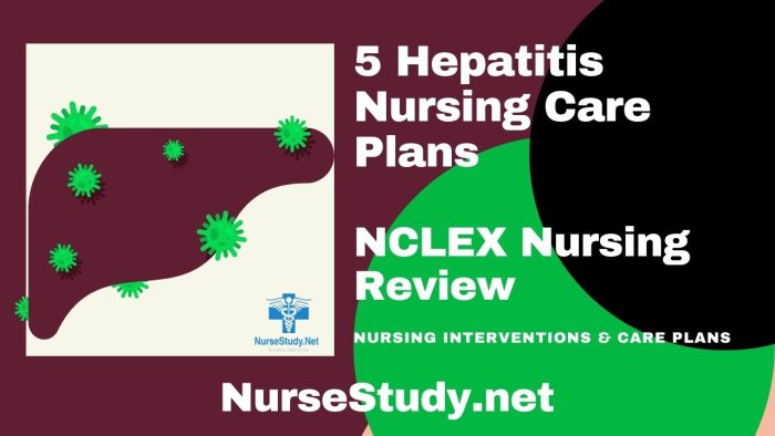 Hepatitis Nursing Diagnosis & Care Plan - NurseStudy.Net