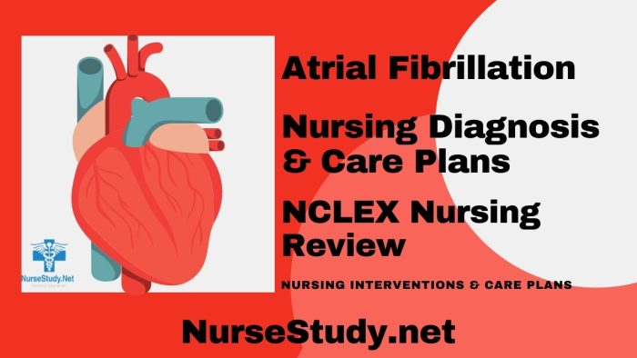 Atrial Fibrillation Nursing Diagnosis and Care Plans - NurseStudy.Net