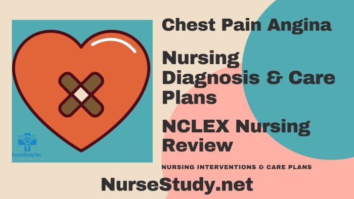 Chest Pain Nursing Diagnosis and Nursing Care Plan - NurseStudy.Net