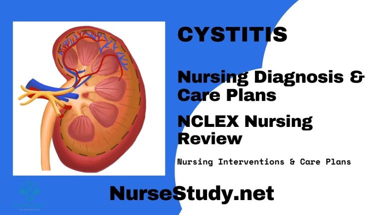 Cystitis Nursing Diagnosis & Care Plan - NurseStudy.Net