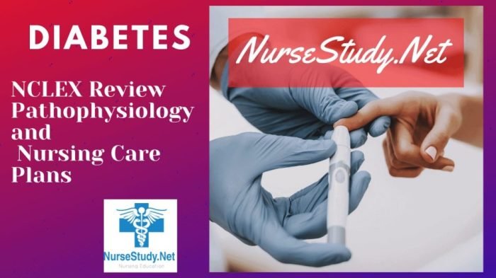 Diabetes Nursing Diagnosis and Care Plan - NurseStudy.Net