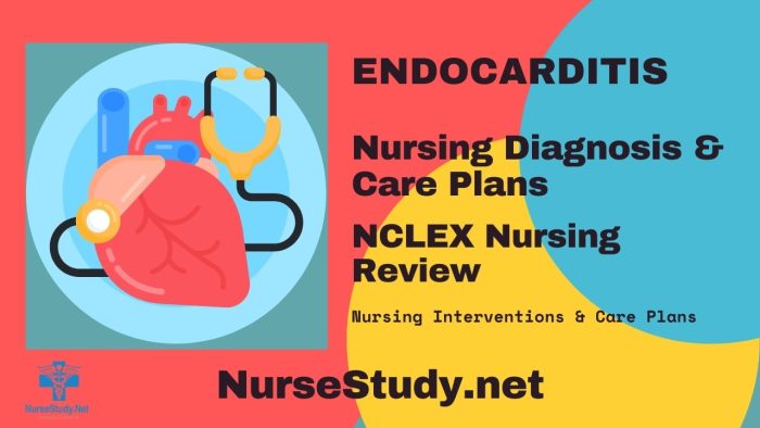 Endocarditis Nursing Diagnosis & Care Plan - NurseStudy.Net