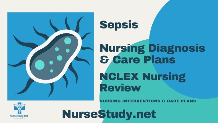 Sepsis Nursing Diagnosis & Care Plans - NurseStudy.Net