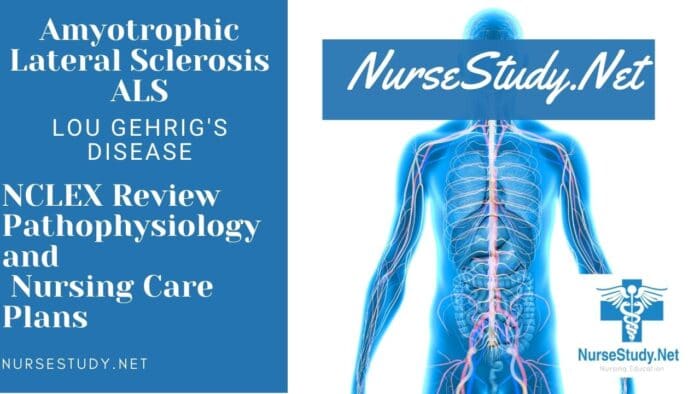 Amyotrophic Lateral Sclerosis ALS Nursing Diagnosis and Nursing Care ...