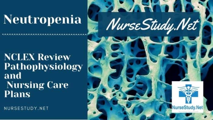 Neutropenia Nursing Diagnosis & Care Plan - NurseStudy.Net