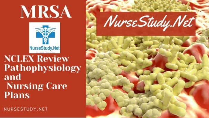 MRSA Nursing Diagnosis and Nursing Care Plan - NurseStudy.Net