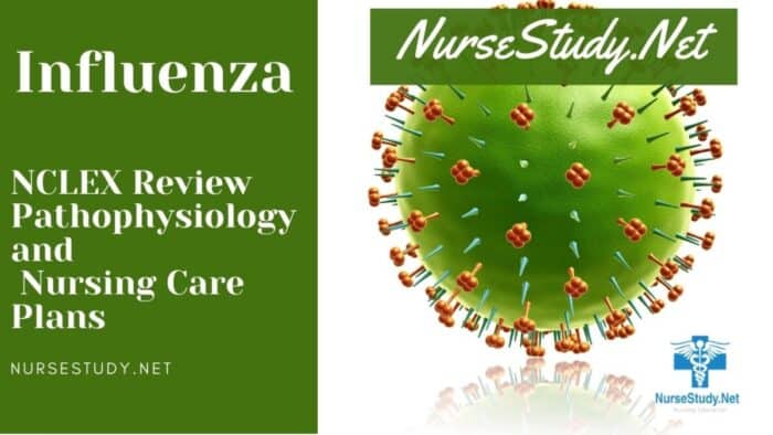 Influenza Nursing Diagnosis & Care Plan - NurseStudy.Net