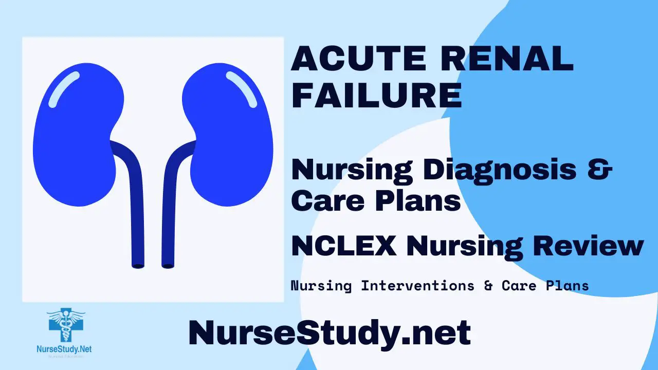 Nutritionist Renal Failure Besto Blog