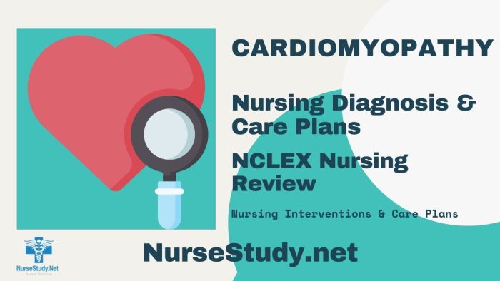Cardiomyopathy Nursing Diagnosis & Care Plan - NurseStudy.Net