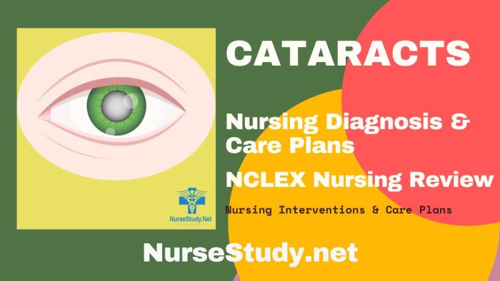 Cataracts Nursing Diagnosis & Care Plan - NurseStudy.Net