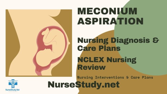 Meconium Aspiration Nursing Diagnosis & Care Plan - NurseStudy.Net