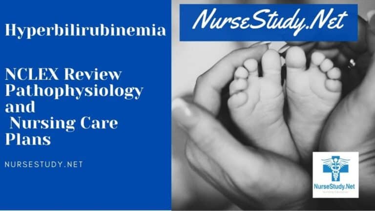 Hyperbilirubinemia Nursing Diagnosis & Care Plan - NurseStudy.Net