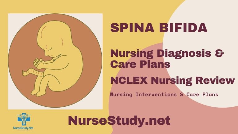 Spina Bifida Nursing Diagnosis & Care Plan - NurseStudy.Net