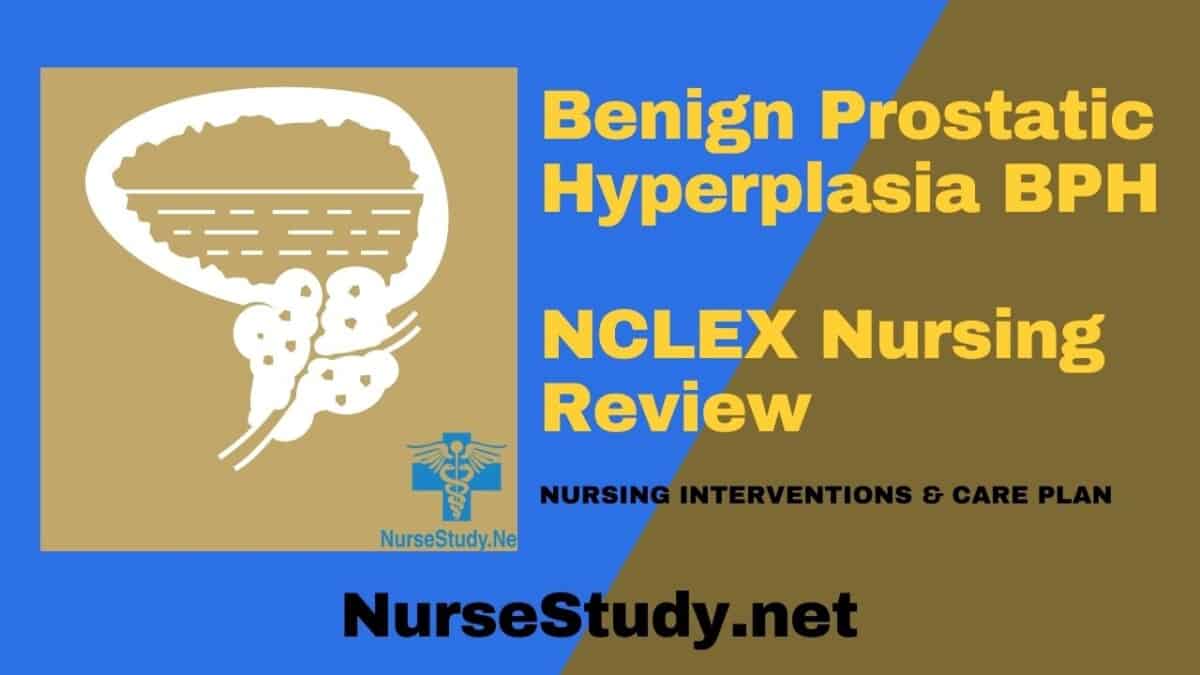 Benign Prostatic Hyperplasia BPH Nursing Diagnosis Care Plan Benign Prostatic Hyperplasia BPH Nursing Diagnosis Care Plan