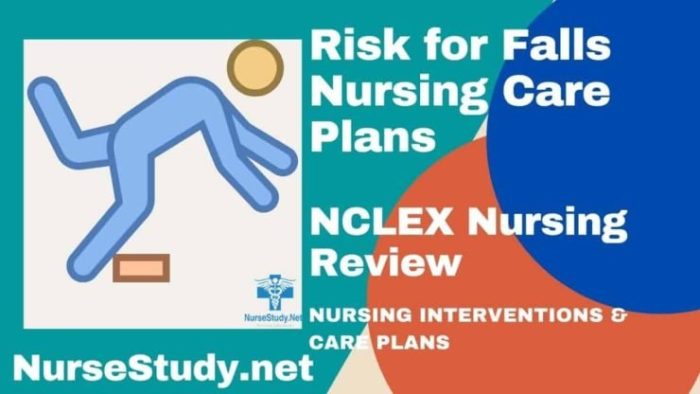 Risk for Falls Nursing Diagnosis & Care Plans - NurseStudy.Net