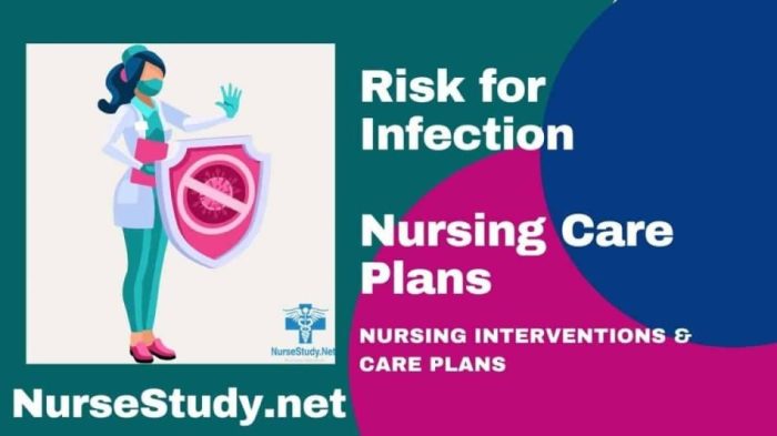 Risk for Infection Nursing Diagnosis & Care Plan - NurseStudy.Net