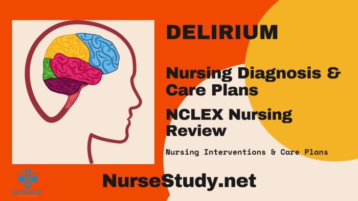 Delirium Nursing Diagnosis & Care Plan - NurseStudy.Net