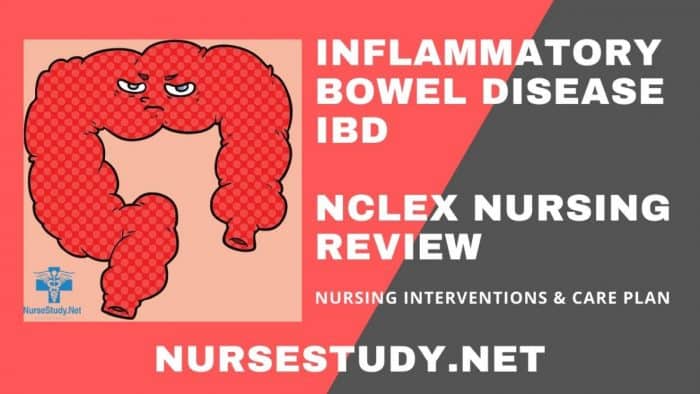 Inflammatory Bowel Disease Nursing Diagnosis & Care Plan - NurseStudy.Net