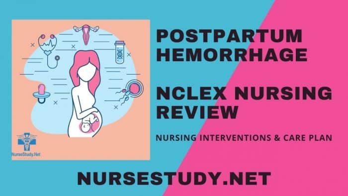 Postpartum Hemorrhage Nursing Diagnosis & Care Plan - NurseStudy.Net