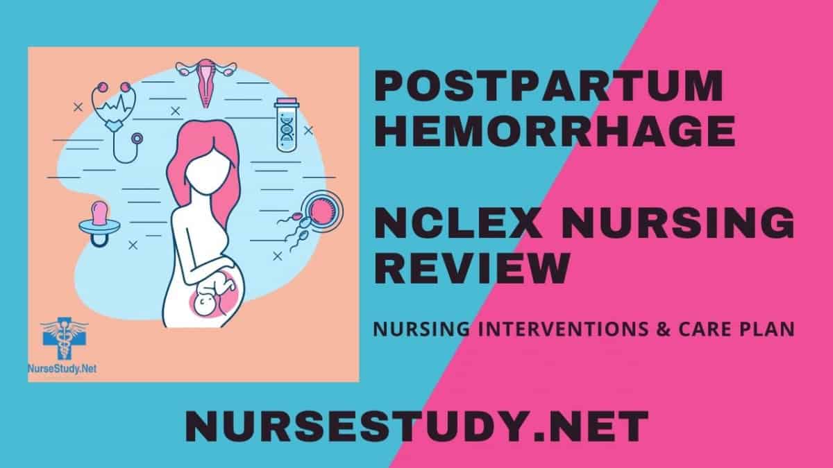 Postpartum Hemorrhage Nursing Diagnosis Care Plan NurseStudy Net