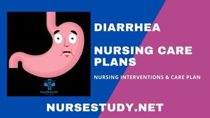 Diarrhea Nursing Diagnosis and Care Plan - NurseStudy.Net