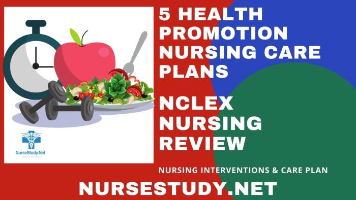 Health Promotion Nursing Diagnosis & Care Plan - NurseStudy.Net