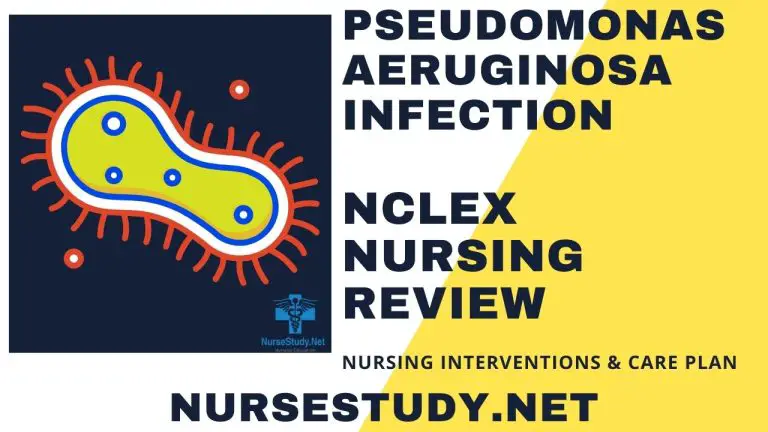 Pseudomonas Aeruginosa Nursing Diagnosis & Care Plan - NurseStudy.Net