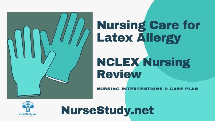 Latex Allergy Nursing Diagnosis & Care Plan - NurseStudy.Net