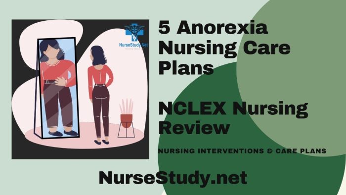 Anorexia Nursing Diagnosis & Care Plan - NurseStudy.Net