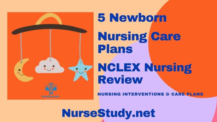 Newborn Nursing Diagnosis & Nursing Care Plans - NurseStudy.Net