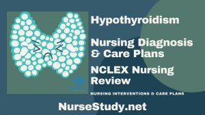 Hypothyroidism Nursing Diagnosis and Nursing Care Plans - NurseStudy.Net