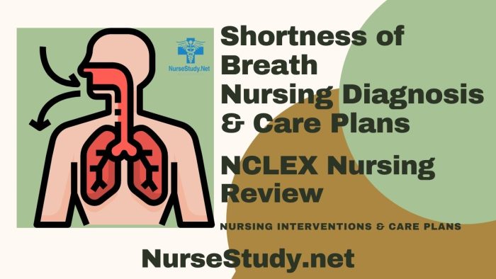 Shortness of Breath Nursing Diagnosis & Care Plans - NurseStudy.Net Shortness of Breath Nursing Diagnosis & Care Plans - NurseStudy.Net