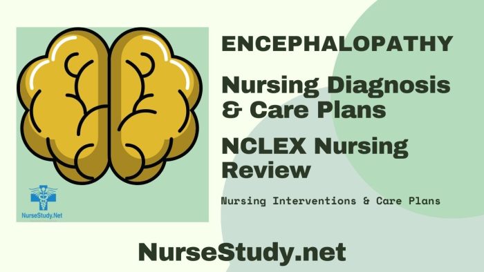 Encephalopathy Nursing Diagnosis & Care Plan - NurseStudy.Net