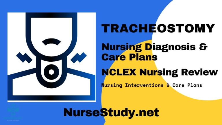 Tracheostomy Nursing Diagnosis & Care Plan - NurseStudy.Net