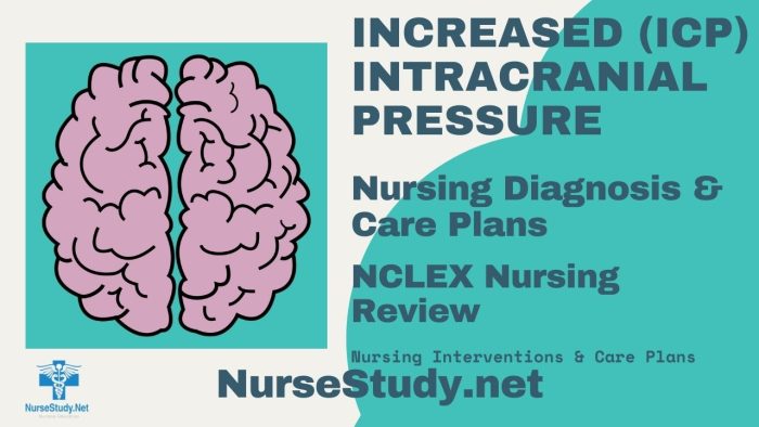 Increased Intracranial Pressure Nursing Diagnosis & Care Plan ...