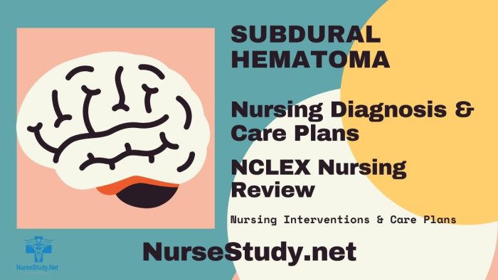 Subdural Hematoma Nursing Diagnosis & Care Plans - NurseStudy.Net