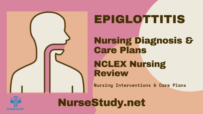 Epiglottitis Nursing Diagnosis & Care Plan - NurseStudy.Net