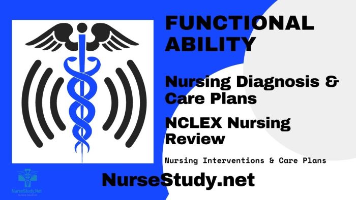 Functional Ability Nursing Diagnosis & Care Plan - NurseStudy.Net
