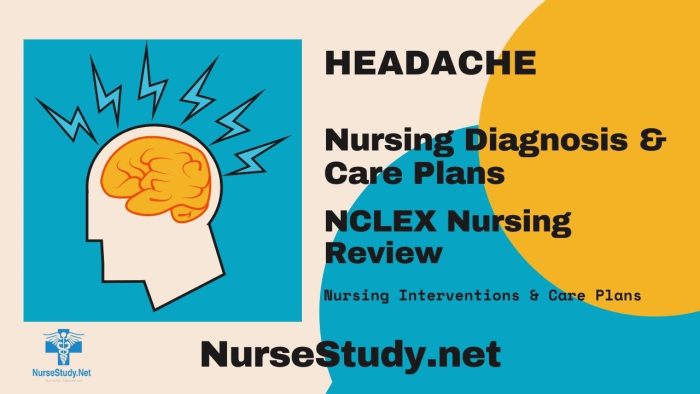 Headache Nursing Diagnosis & Care Plan - NurseStudy.Net