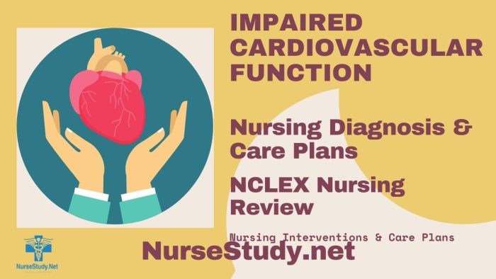 Impaired Cardiovascular Function Nursing Diagnosis & Care Plan ...