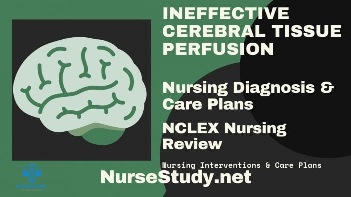 Ineffective Cerebral Tissue Perfusion Nursing Diagnosis & Care Plan - NurseStudy.Net
