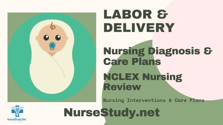 Labor and Delivery Nursing Diagnosis & Care Plan - NurseStudy.Net