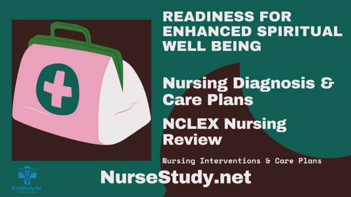Readiness for Enhanced Spiritual Well Being Nursing Diagnosis & Care ...