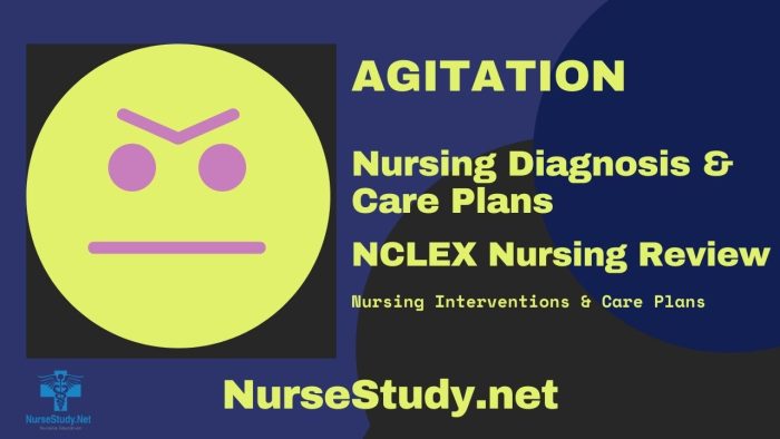 Agitation Nursing Diagnosis & Care Plan - NurseStudy.Net