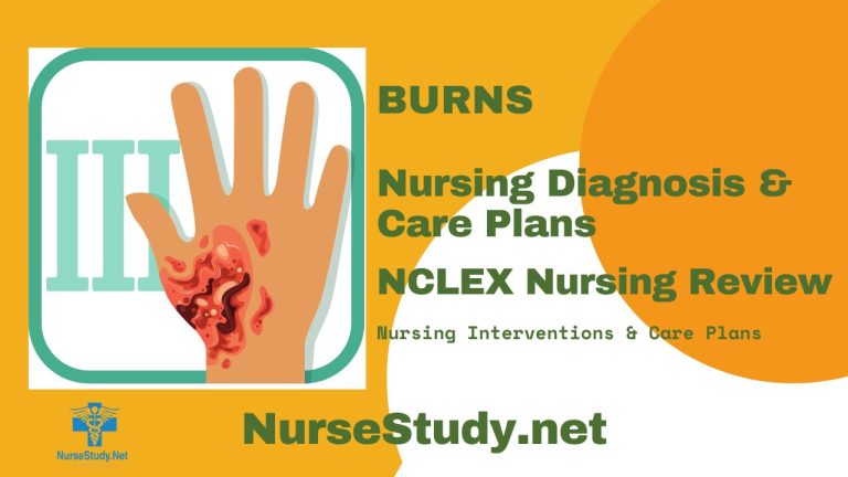 Burns Nursing Diagnosis & Care Plan - NurseStudy.Net